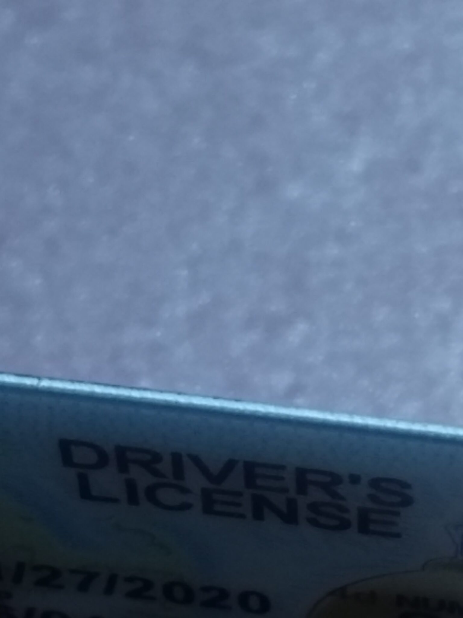 How to spot a good fake ID – Trevor Klee