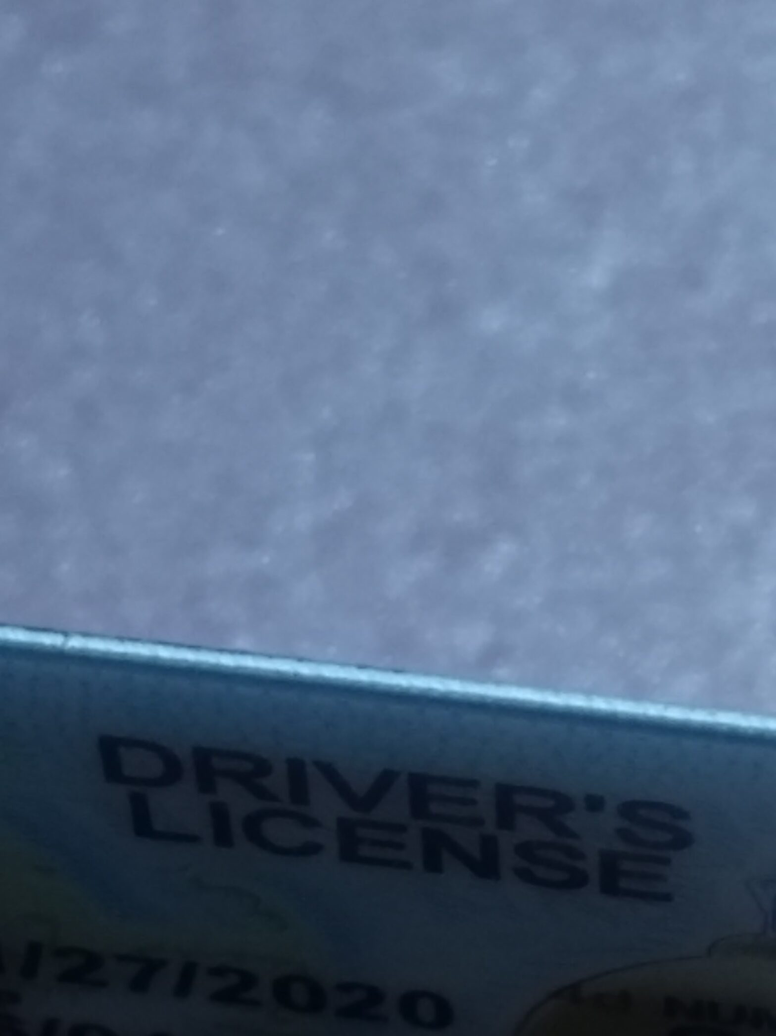 How to spot a good fake ID – Trevor Klee