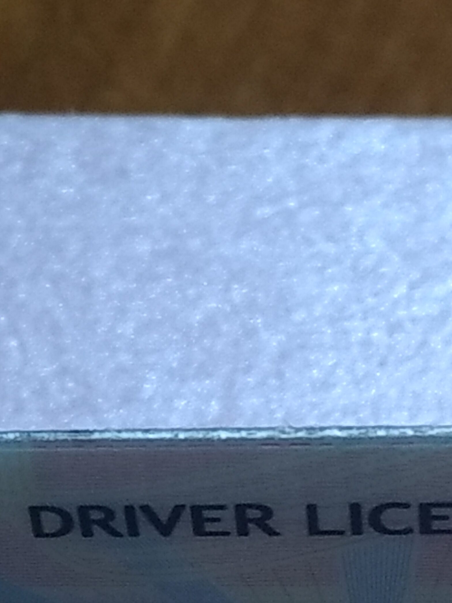 How to spot a good fake ID – Trevor Klee