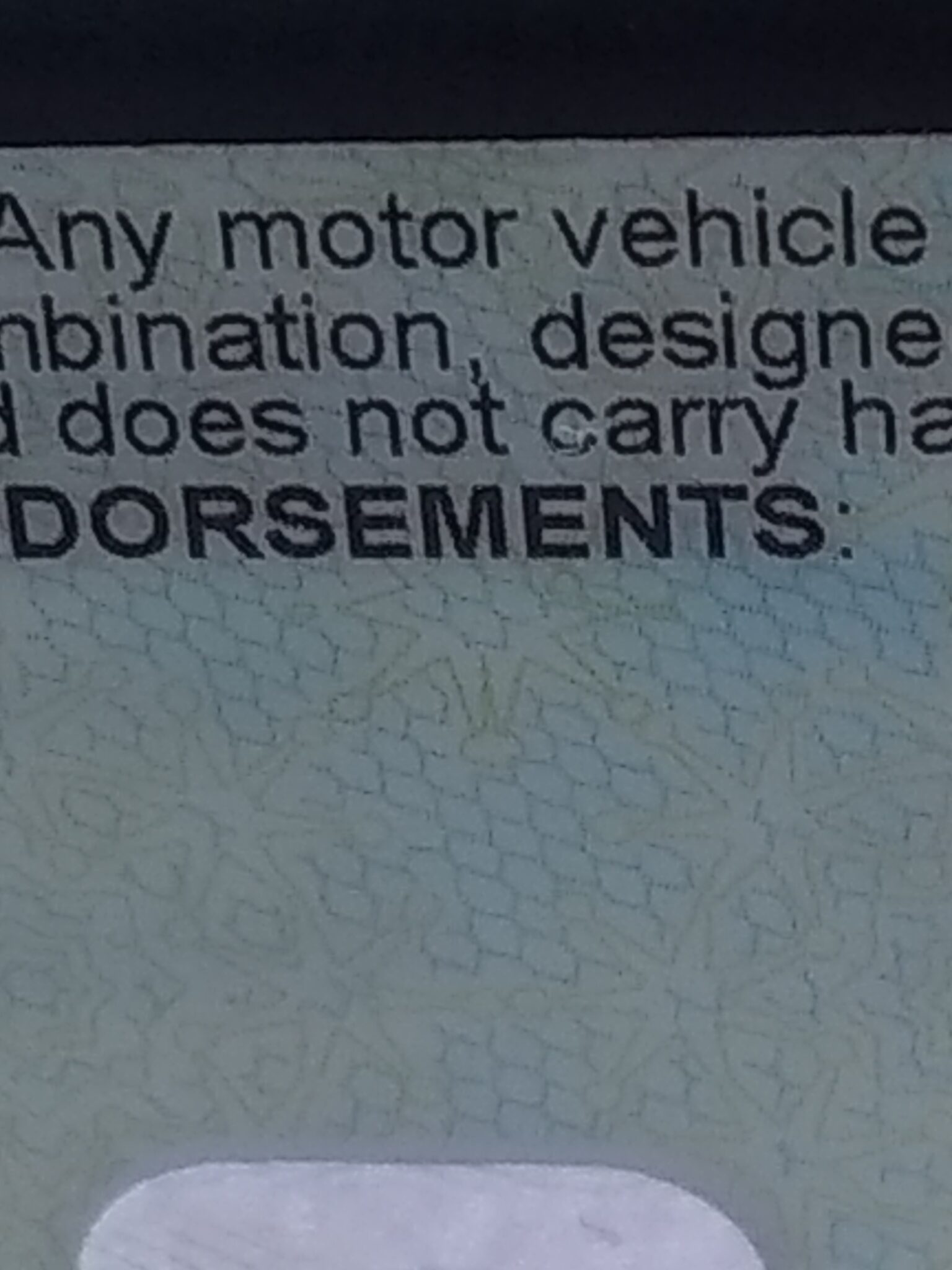 How to spot a good fake ID – Trevor Klee